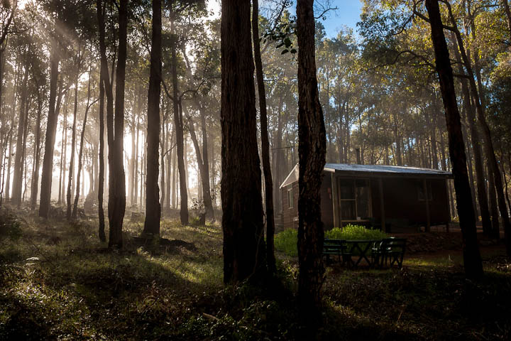 Immersed in nature... - Balingup HeightsBalingup Accommodation