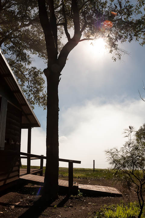 Immersed in nature... - Balingup HeightsBalingup Accommodation