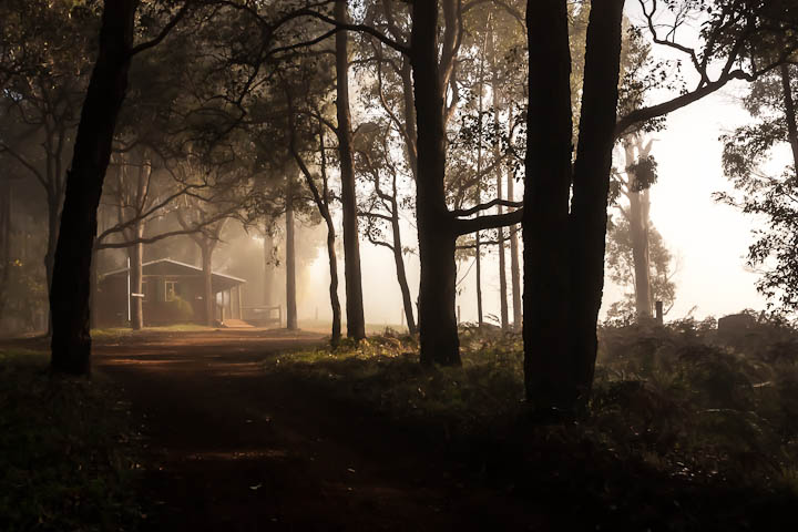 Immersed in nature... - Balingup HeightsBalingup Accommodation
